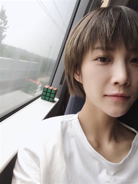 苏诗丁 高清图片堆糖美图壁纸兴趣社区