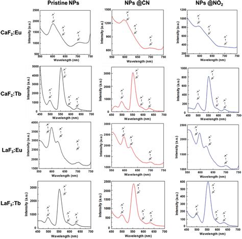 Dual‐mode Nanoprobes Based On Lanthanide Doped Fluoride Nanoparticles