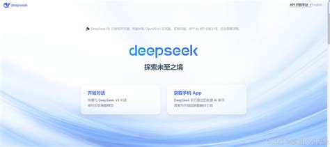 Deepseek的简介和初体验 1简介deepseek简介200字 Csdn博客