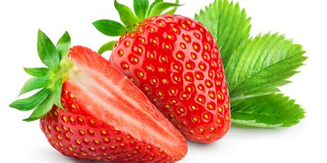 Zone 9 Strawberries Everything You Need To Know Gfl Outdoors