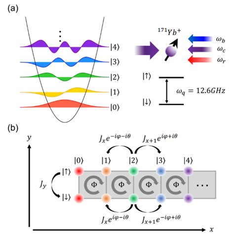 交叉信息研究院段路明课题组利用囚禁离子实现合成维度和人工磁场的量子模拟 清华大学