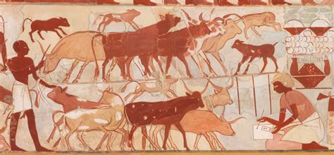What Did The Ancient Egyptians Eat Ao Wants To Know