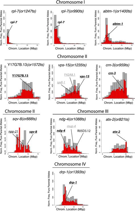 Snp Mapping Data For Temperature Sensitive Mutations With Identified Download Scientific