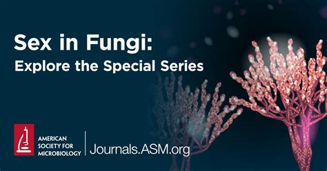 American Society For Microbiology Check Out Whats New With Sex In
