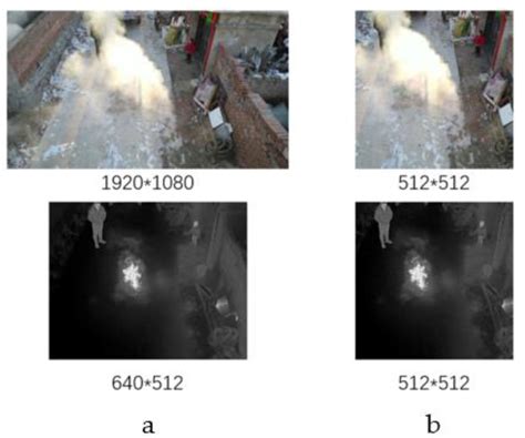 Comparison Of Image Size Before And After Pre Processing A Is The Download Scientific