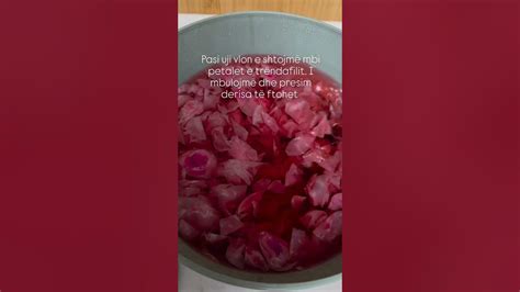 Shërup Trëndafili Youtube