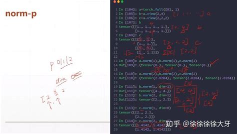 pytorch 龙良曲 p23 p28 知乎