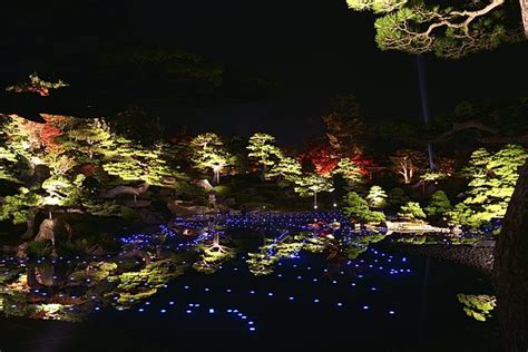 由志園紅葉ライトアップ 12 山の陰から 写し人の便り
