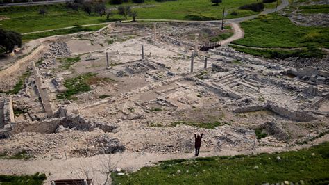 ΕΡΤ3 «Βότανα καρποί της Γης Παραδοσιακά βότανα της Κύπρου Τετάρτη 2 Νοεμβρίου στις 19 00