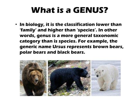 Ppt Taxonomy And Biological Classification Powerpoint Presentation