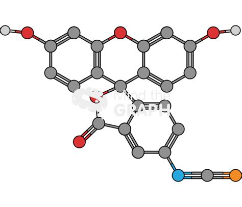 Fluorescein Isothiocyanate Molecule