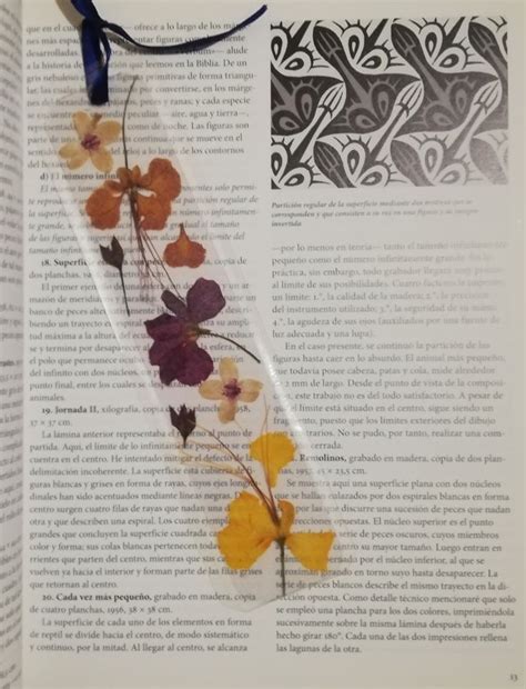Separador De Libros Flores Prensadas Separador De Libros Botanica