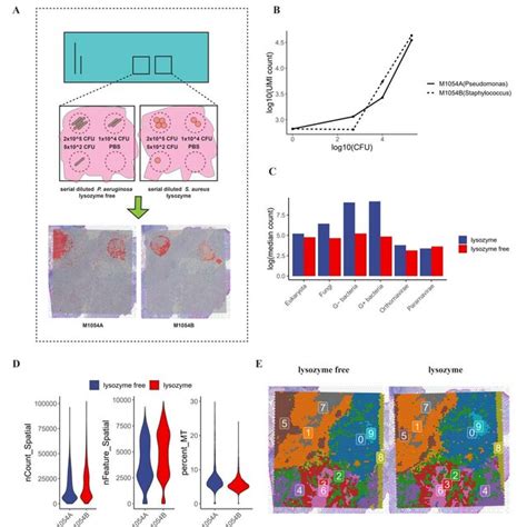 Host Microbe Interactions Revealed By Smt A Spatial Feature Plot Download Scientific Diagram