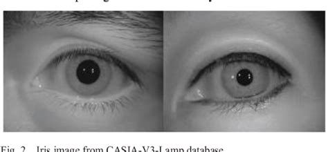 Figure 1 From Iris Recognition Based On Convolutional Neural Network And Active Iterative