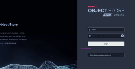 Minio Installation On Ubuntu 2404 With Nginx Proxy Cloudspinx