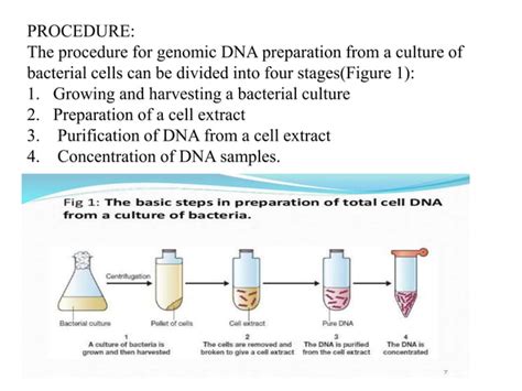 Isolation And Purification Of Microbial C Ppt
