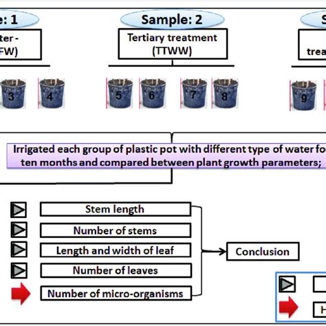 The Work Program Flow Chart Download Scientific Diagram