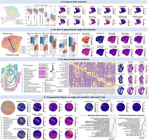 validation of spider on identifying spatially variate interactions a