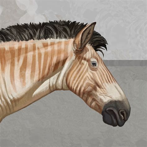 Somniosus Insomnus On Twitter Qrt With Your Faces