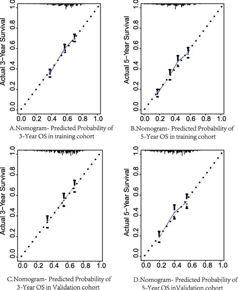 Calibration Plots Of Os Associated Nomograms In Both Training And Download Scientific Diagram