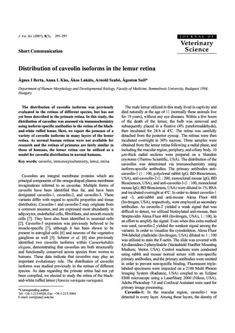Pdf Caveolin Isoform Distribution In Lemur Retina