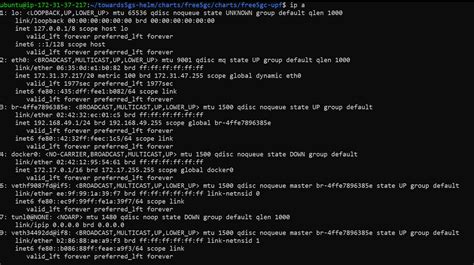 N Internet Connectivity Issue Orange OpenSource Towards Gs Helm GitHub