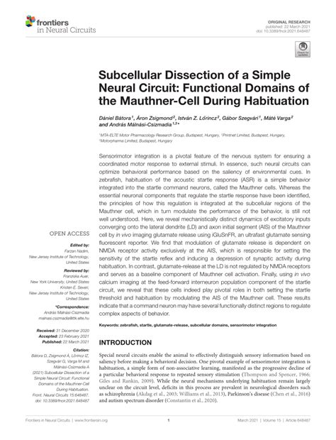 Pdf Subcellular Dissection Of A Simple Neural Circuit Functional Domains Of The Mauthner Cell