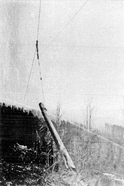 Enjoying The Logging Articles