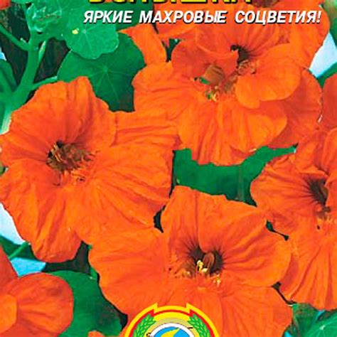 Семена почтой - интернет магазин семян "Семена и растения"