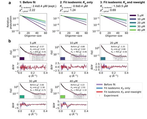 Refining Oligomer Populations And Conformational Ensembles Against Saxs Download Scientific