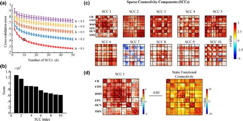 Extracting The Group‐level Sparse Connectivity Components Sccs Of