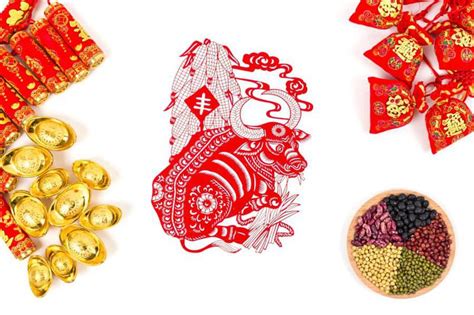 2023 წლის ასტროლოგიური პროგნოზი აღმოსავლური ნიშნებისთვის როგორი წელი ელოდება ხარს Ambebi Ge