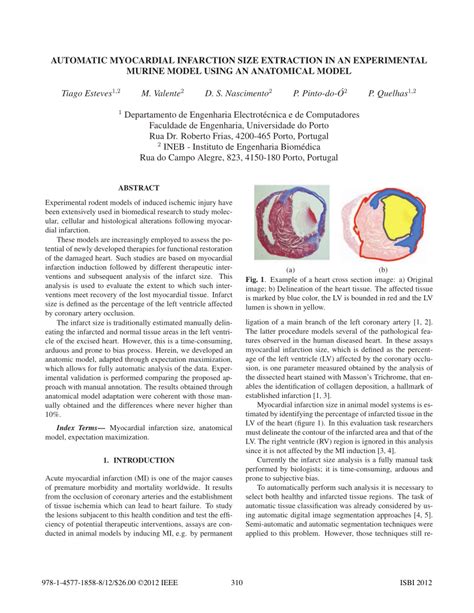 Pdf Automatic Myocardial Infarction Size Extraction In An Experimental Murine Model Using An