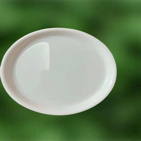 Pure Acrylic Dinner Plate White For Hotel 10 Inch At Rs 75piece In