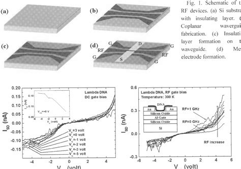 figure 1 from dc and radio frequency transport characteristics of