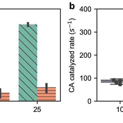 Temperature Impact On Pt Inorganic Carbon Mass Transfer Coefficient A