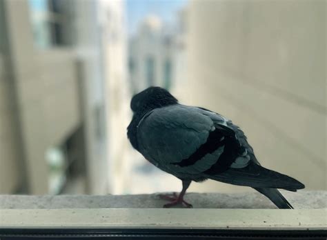 Ritesh Joseph On Linkedin Nature Productivity Workhealthandsafety