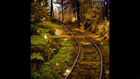 გია Gia ვერხვის ფოთოლთა Youtube