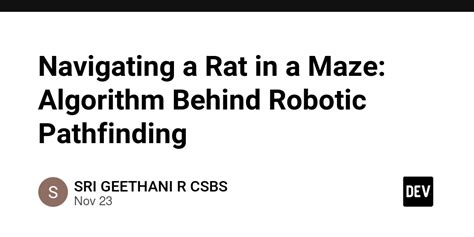 Navigating A Rat In A Maze Algorithm Behind Robotic Pathfinding Dev Community