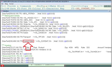 How To Print Current Date In Bill Format In Marg Software