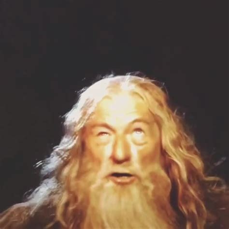 You Shall Not Pass Multipass Coub