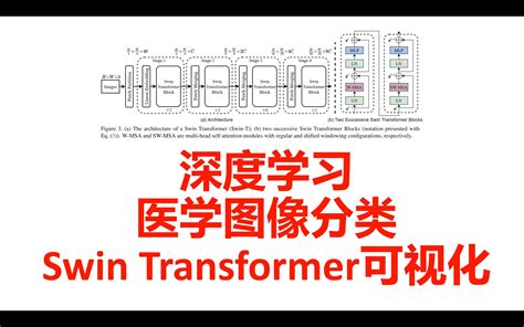 Swin Transformer（swint）医学图像分类实战 深度学习可视化热力图 多组学进击君 多组学进击君 哔哩哔哩视频