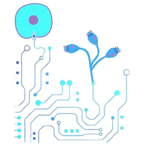 Polymaths Ai On Linkedin Having Won An Innovate Uk Grant Of £491k And