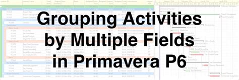 Grouping Activities By Multiple Fields In P6 Ten Six
