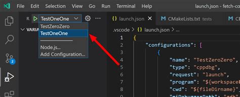 Vscode How To Debug A Wsl Ccmake Project