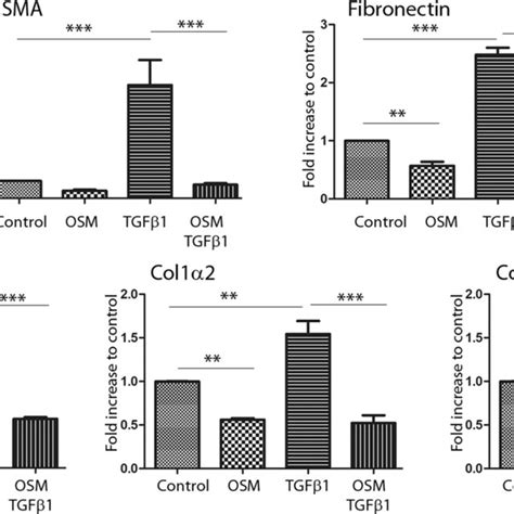 Ecm Protein Expression Was Upregulated In Hypertrophic And Keloid Download Scientific Diagram