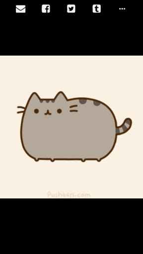 Wiki Bepper Fan Club Amino