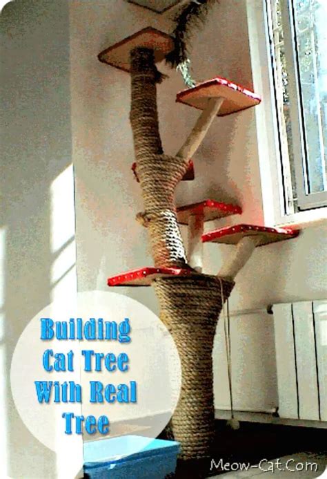 20 Fun And Free Homemade Diy Cat Tree Plans