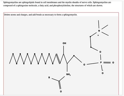 Solved Sphingomyelins Are Sphingolipids Found In Cell