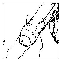 CIRCLIST Circumcised Sex